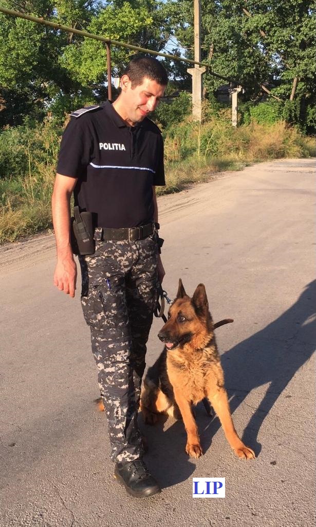 Galerie foto: Patru câini polițiști brăileni predau ștafeta - ProBraila ...